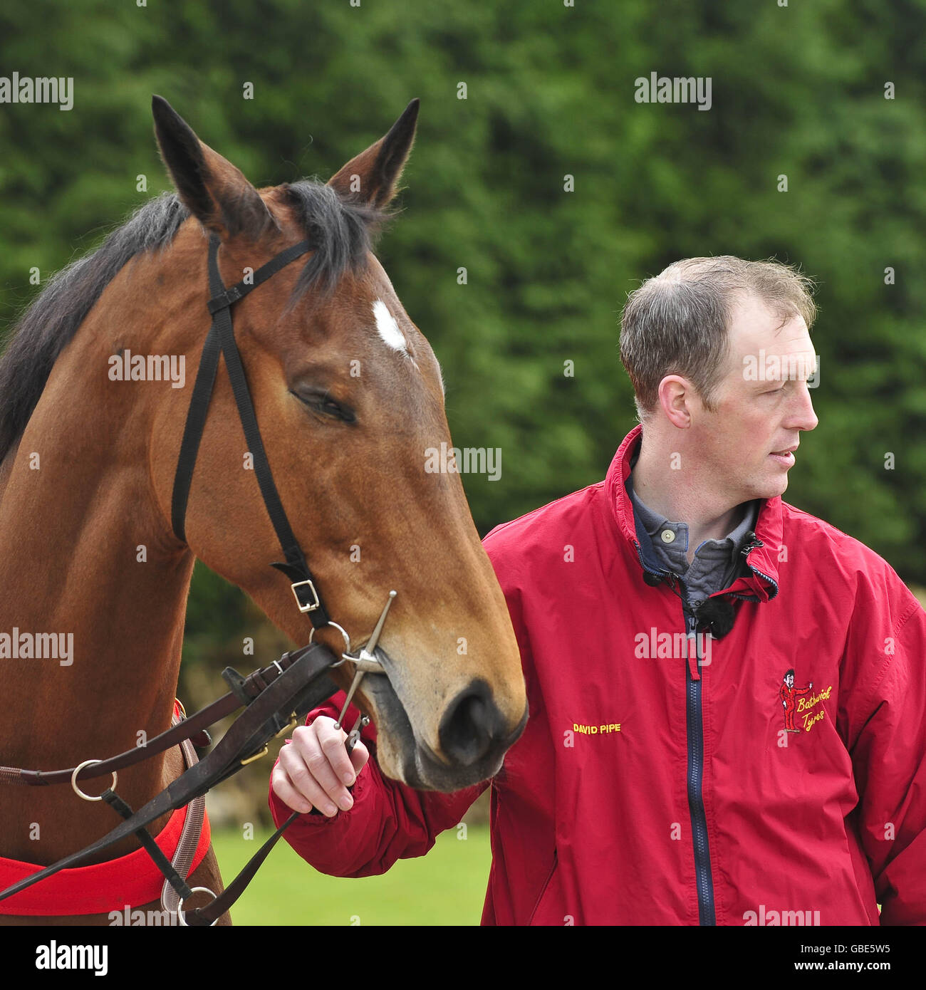 Horse Racing - David Pipe Stable Visit Stock Photo - Alamy