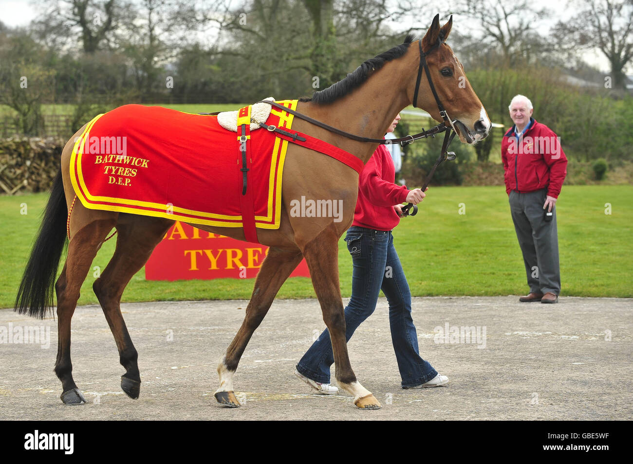 Horse Racing - David Pipe Stable Visit Stock Photo - Alamy