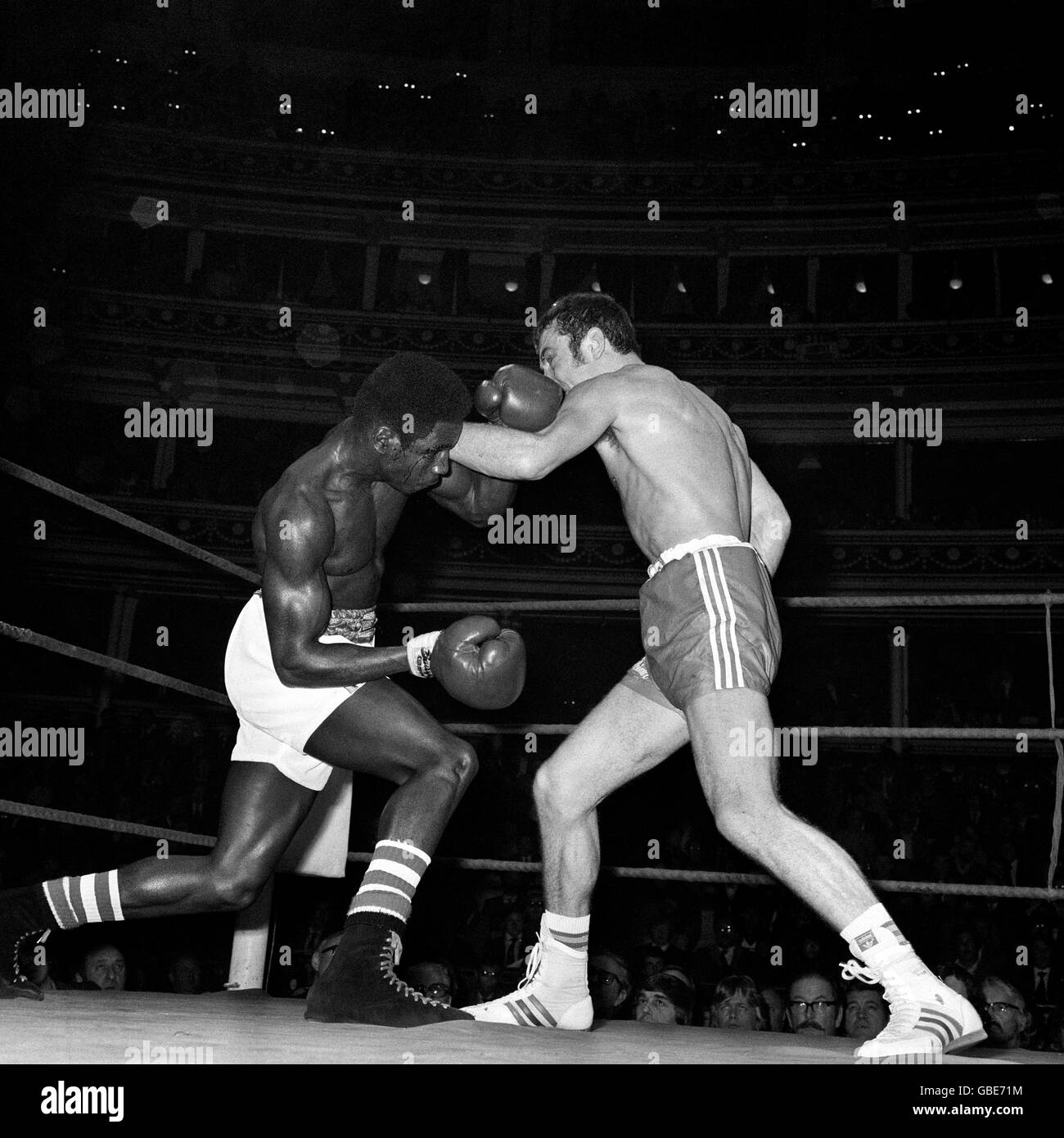Alan minter boxing hi-res stock photography and images - Alamy