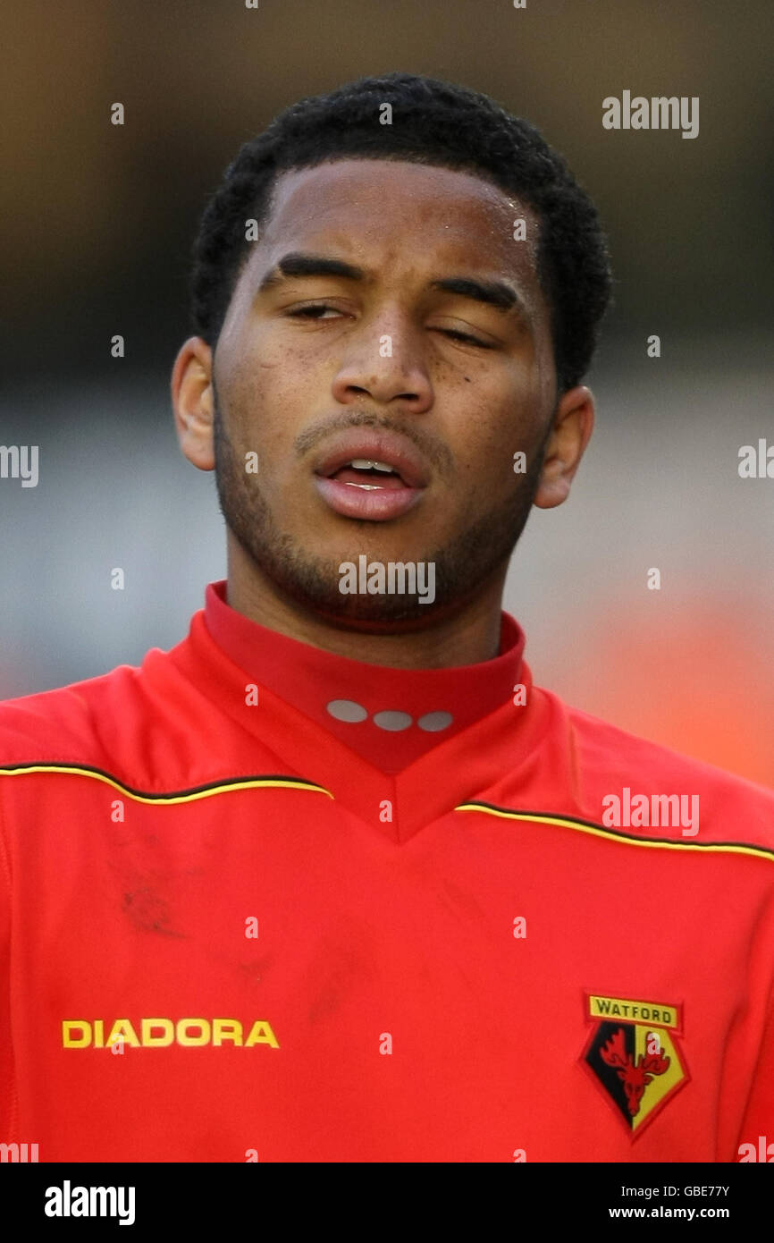 Football wolves head shot headshot portrait datacoapplies hi-res stock ...