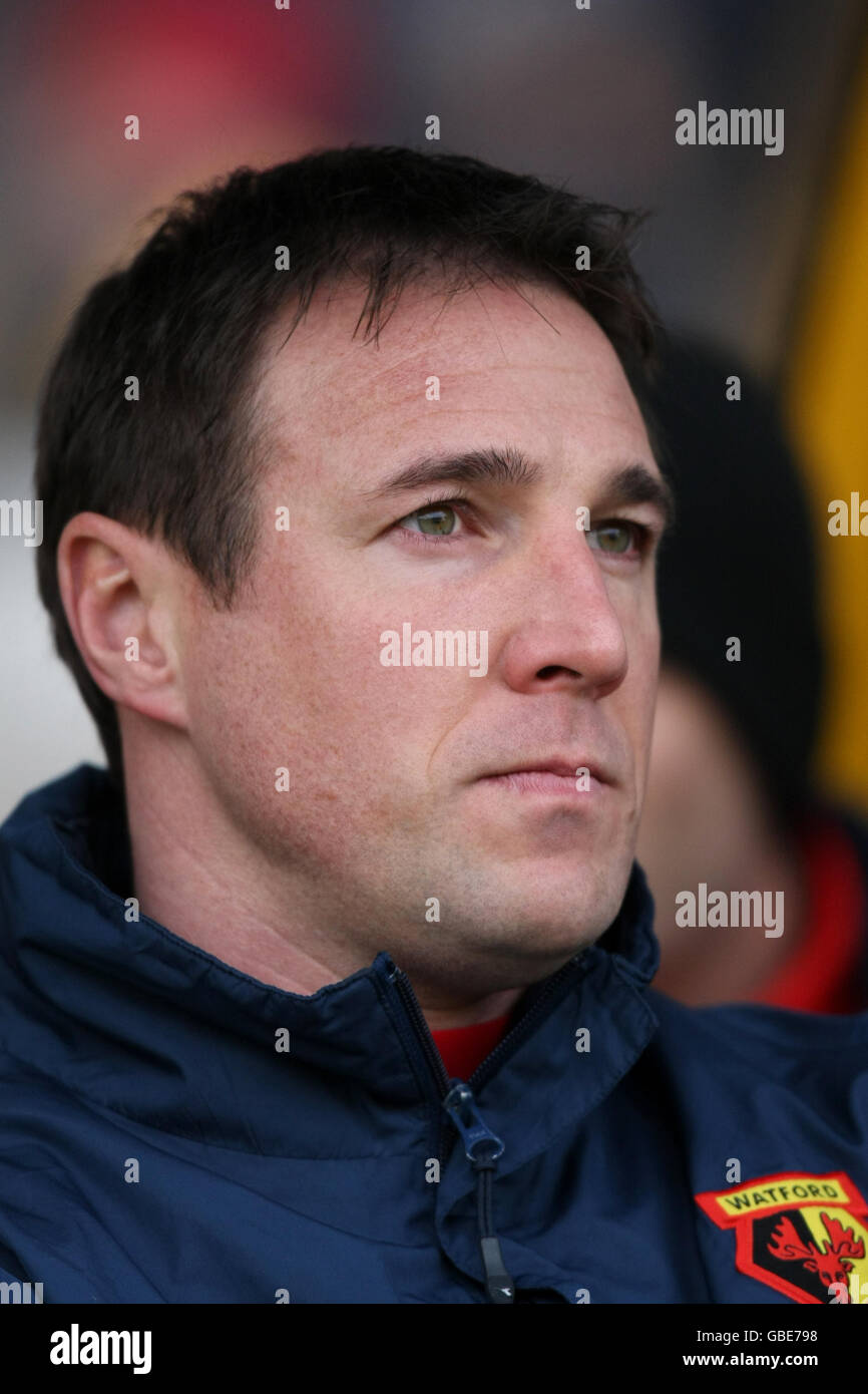 Football wolves head shot head coach datacoapplies hi-res stock ...