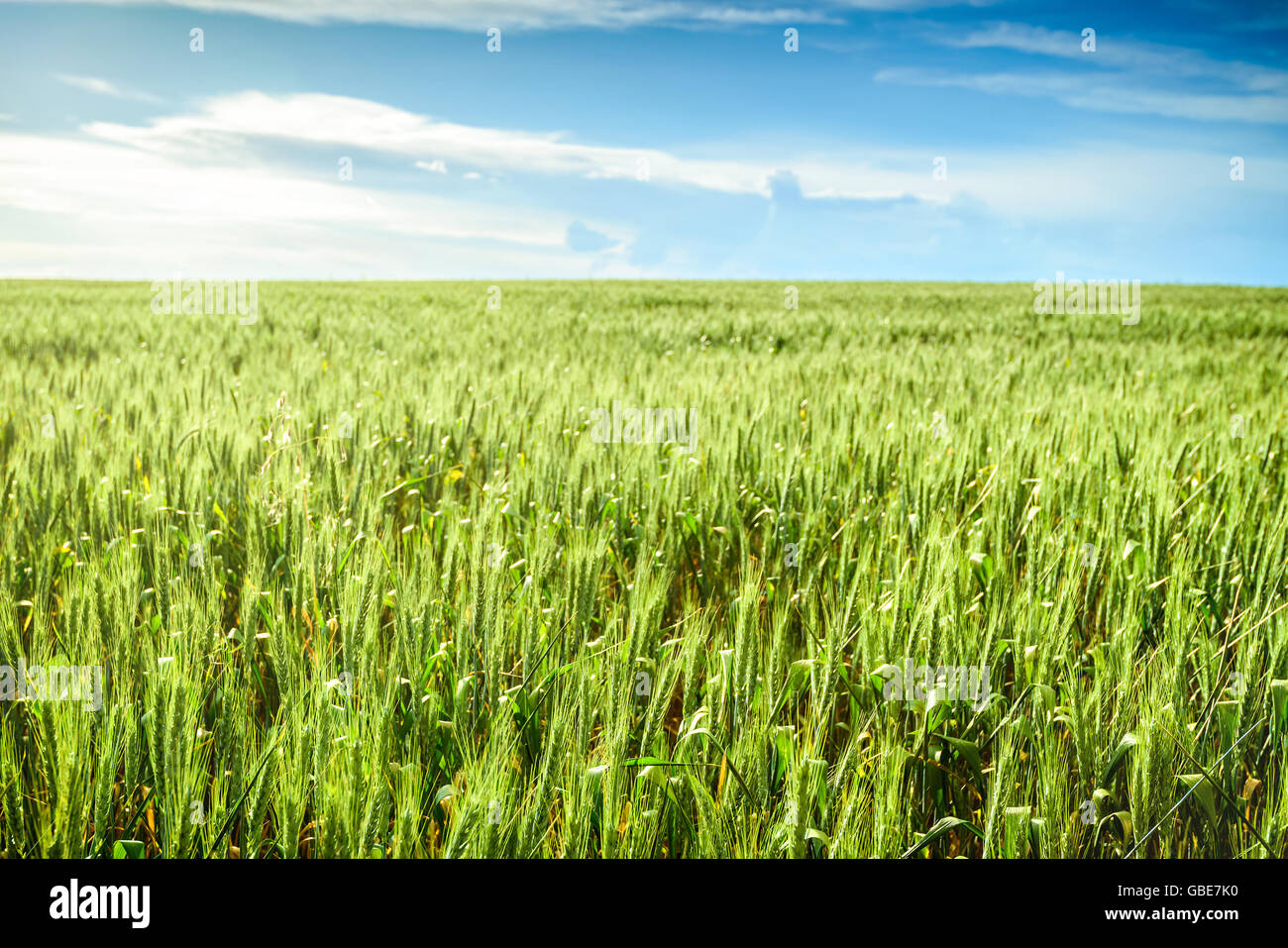 Barossa south australia hi-res stock photography and images - Alamy