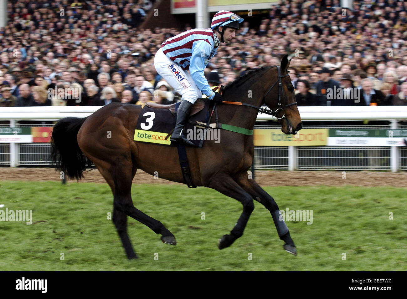 Best mate horse hi-res stock photography and images - Alamy