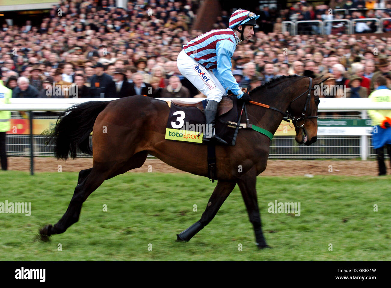 Best mate horse hi-res stock photography and images - Alamy