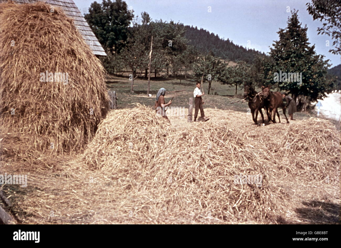 Yugoslavia 1950s hi-res stock photography and images - Alamy