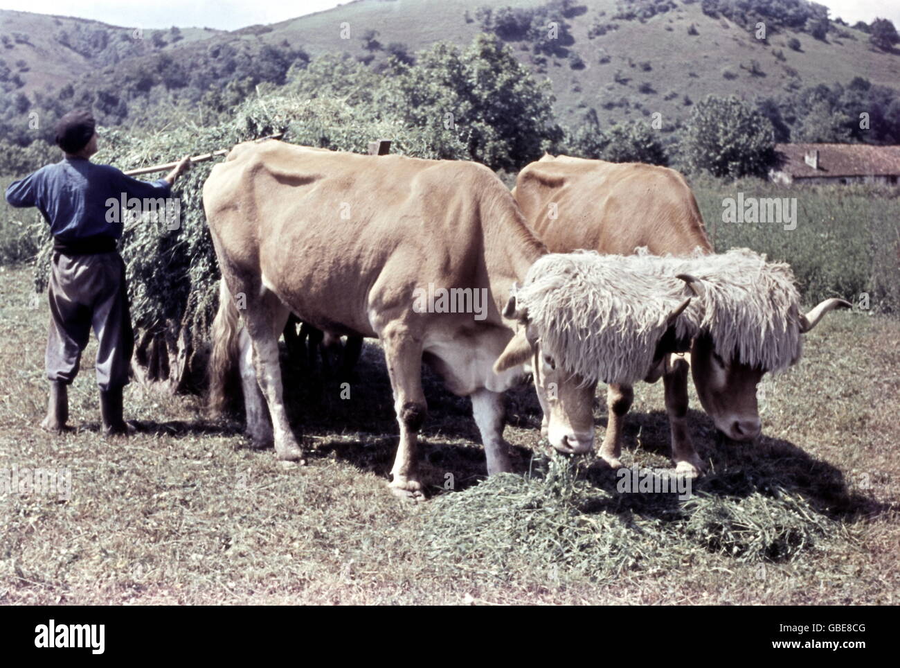 Basque region of france hi-res stock photography and images - Alamy