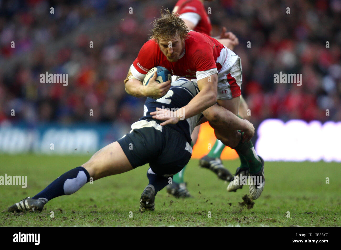 Wales andy powell in action against scotland hi-res stock photography ...