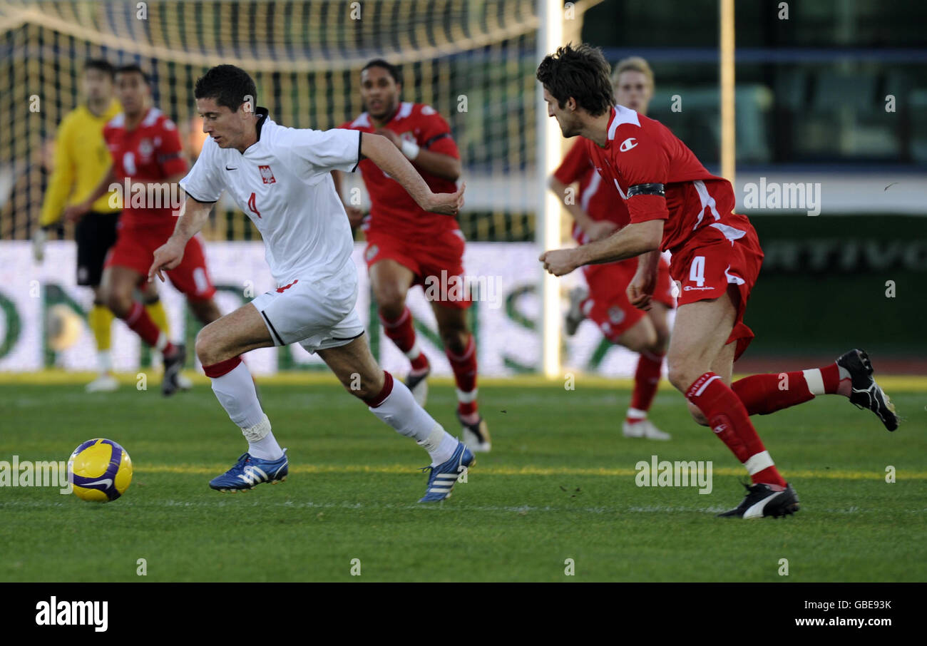 Poland's Robert Lewandowski (left) in action with Wales' Samuel ...