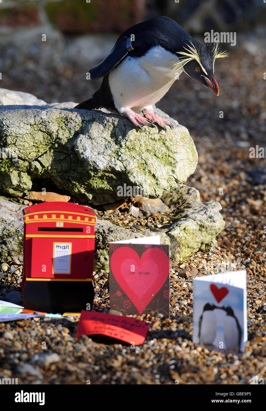 Hopper box hi-res stock photography and images - Alamy