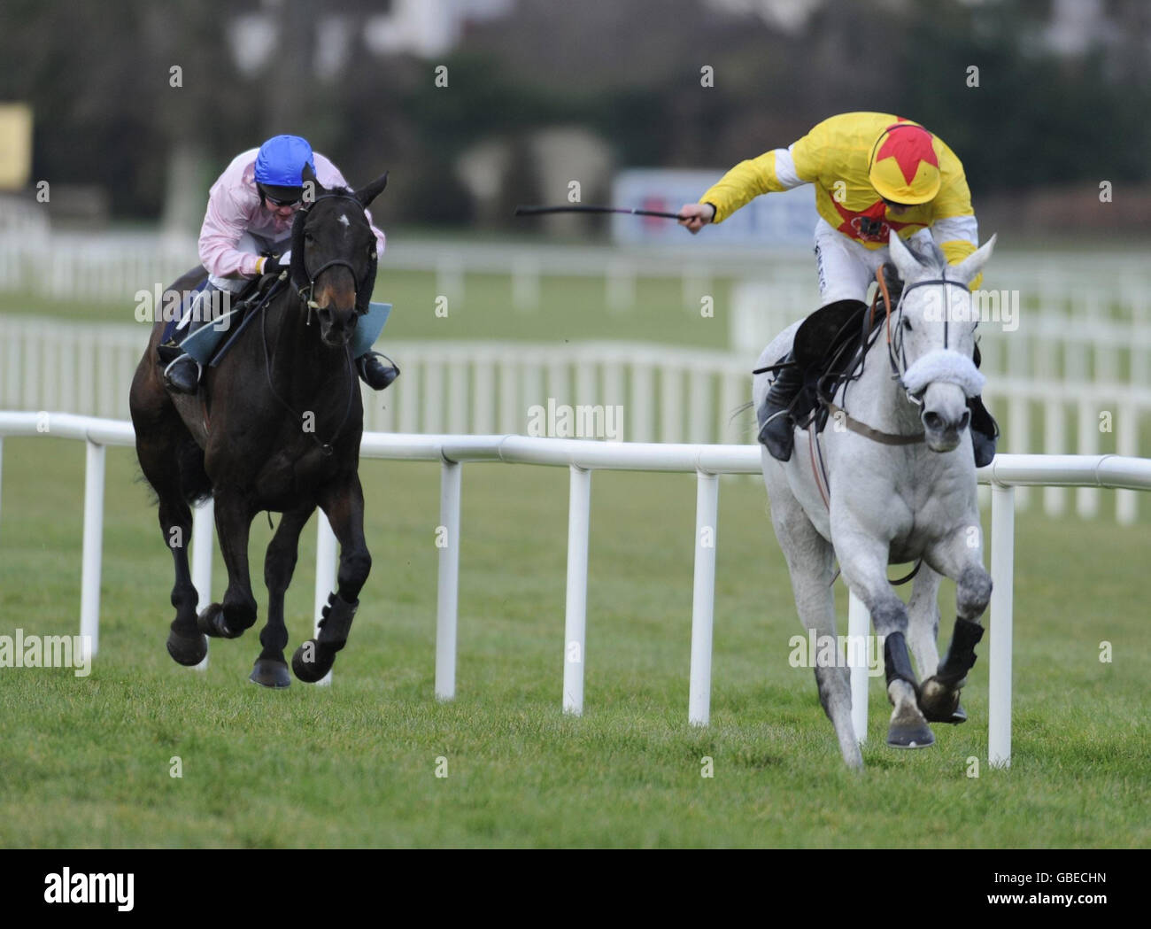 Hennessy cognac horse hi-res stock photography and images - Alamy