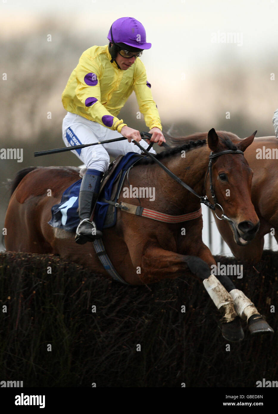 Horse Racing - Warwick Racecourse Stock Photo - Alamy