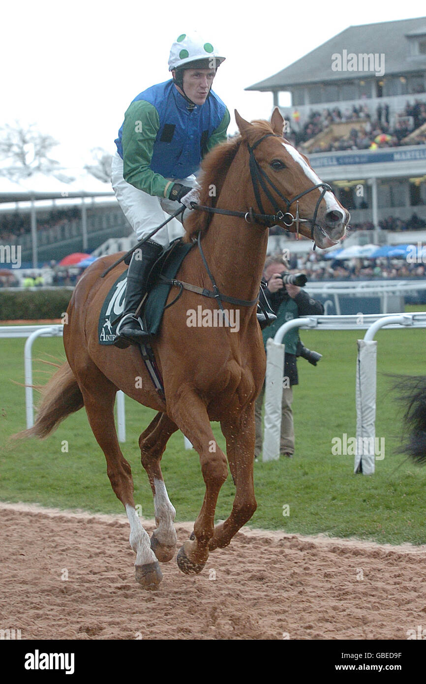 Horse Racing - The Martell Grand National Meeting 2004 - Aintree. Well ...