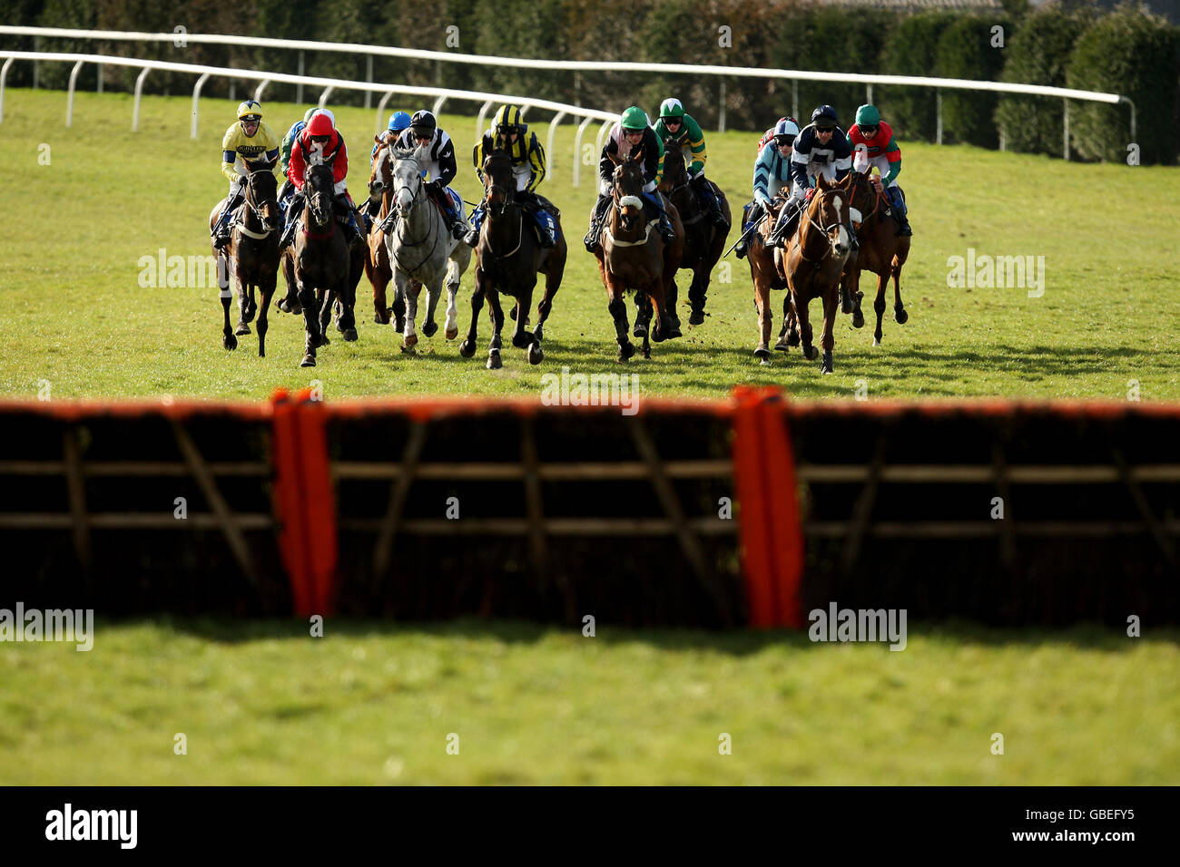 The field approach the last hurdle at hereford racecourse hi-res stock ...