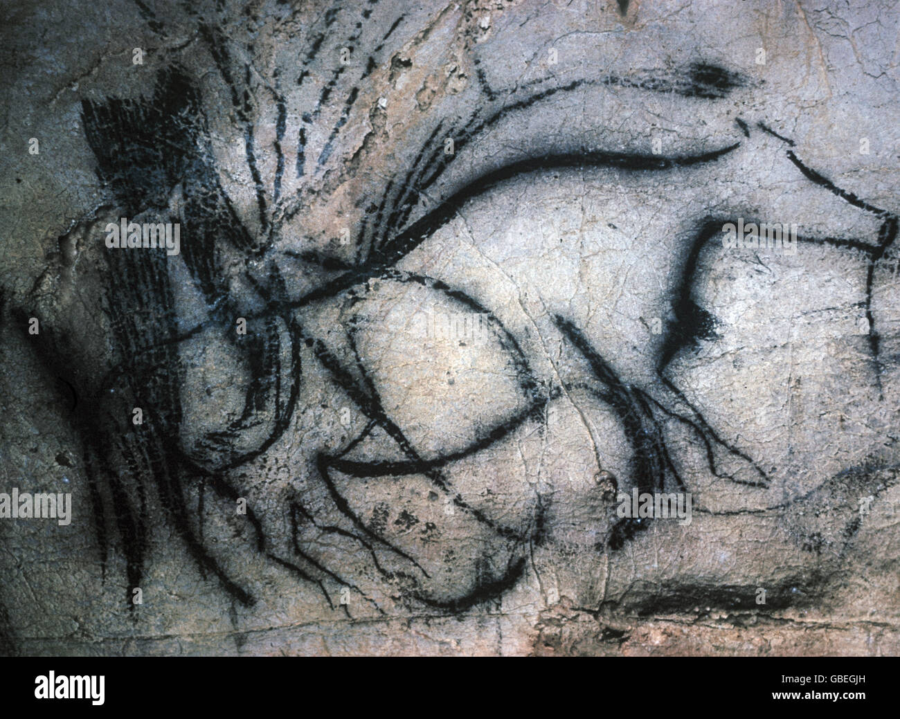 Cave painting pech merle hi-res stock photography and images - Alamy