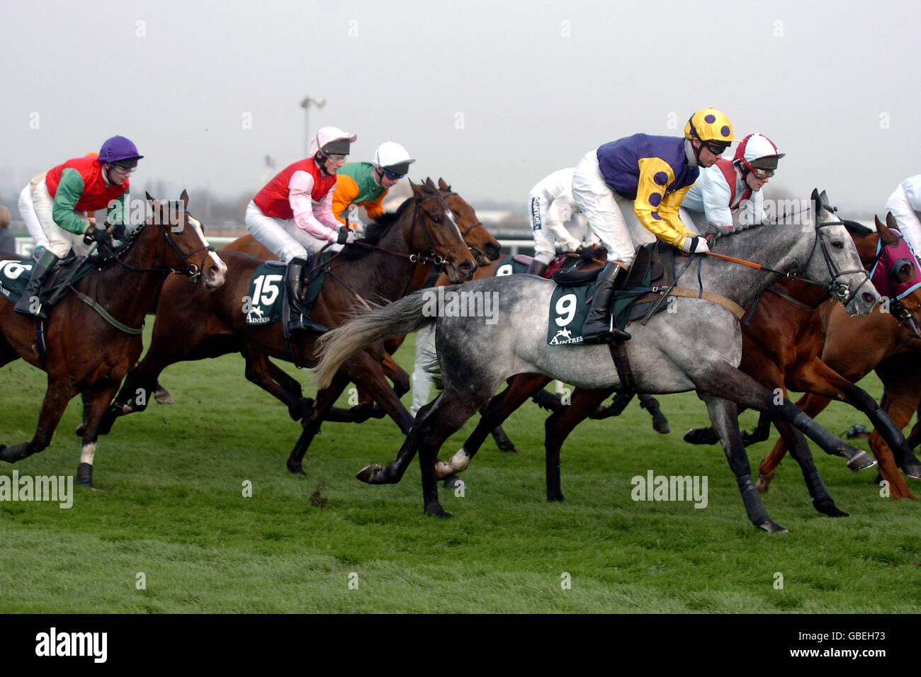 Gin Palace ridden by Timmy Murphy (9) during the Martell Cognac ...