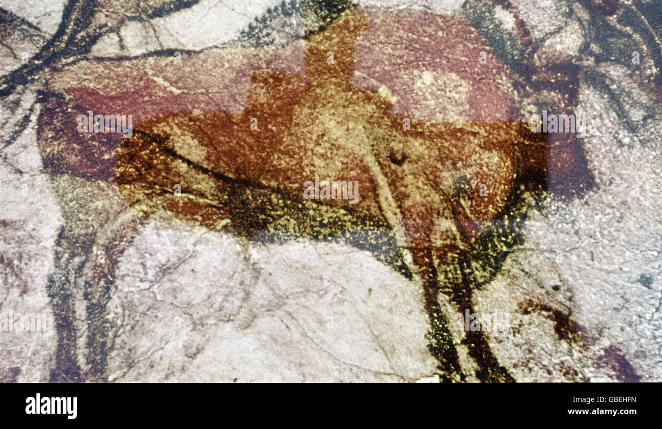 prehistory,cave-painting,rock drawing in Altamira cave near Stock Photo ...