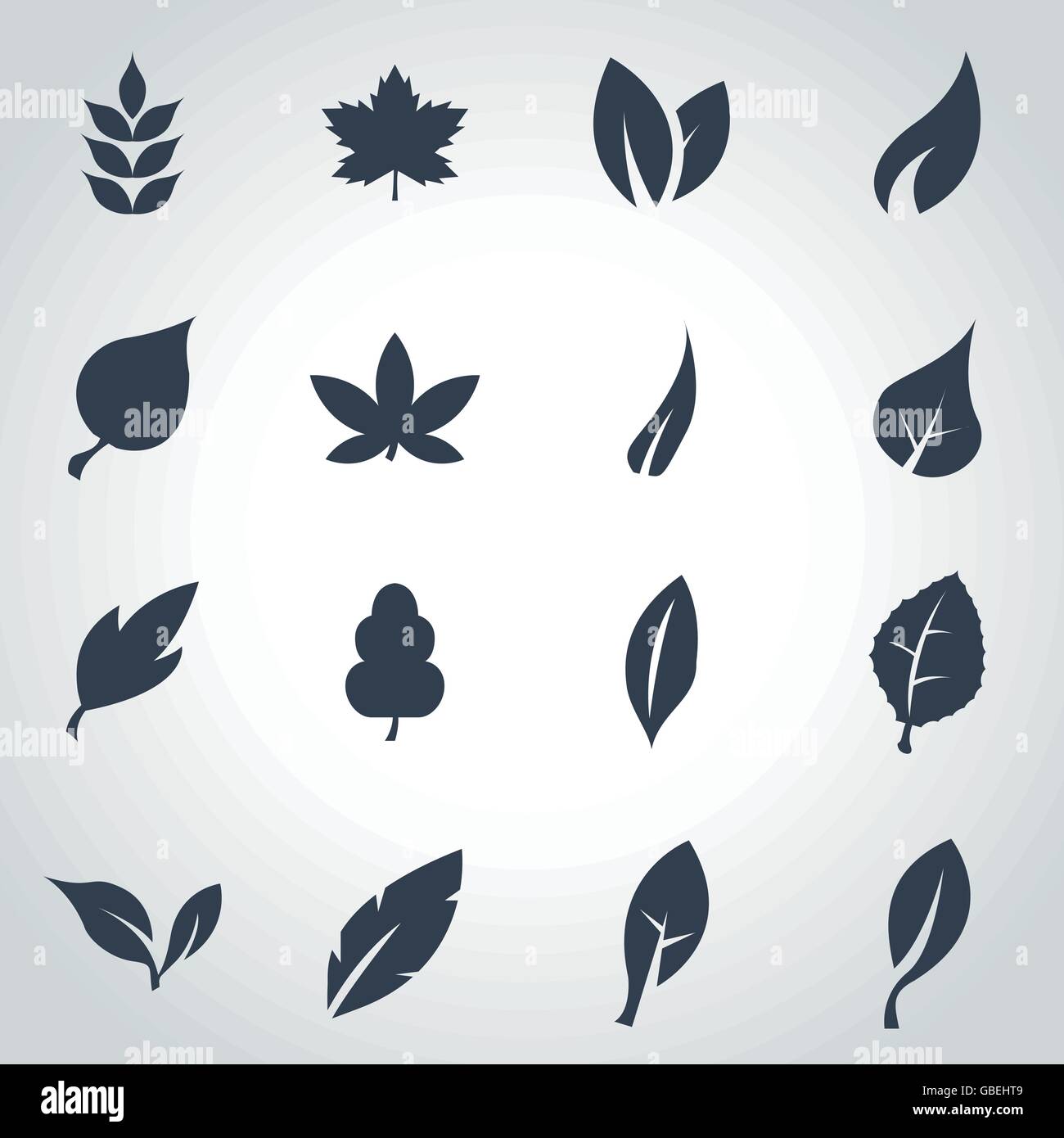 Vector black leaf icon set Stock Vector Image & Art - Alamy