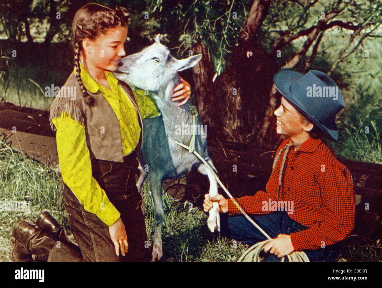 Wild Horse Ambush, USA 1952, Regie: Fred C. Brannon, Darsteller ...