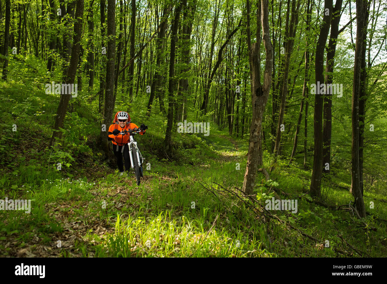 Downhill bicycle speed road down hi-res stock photography and images ...