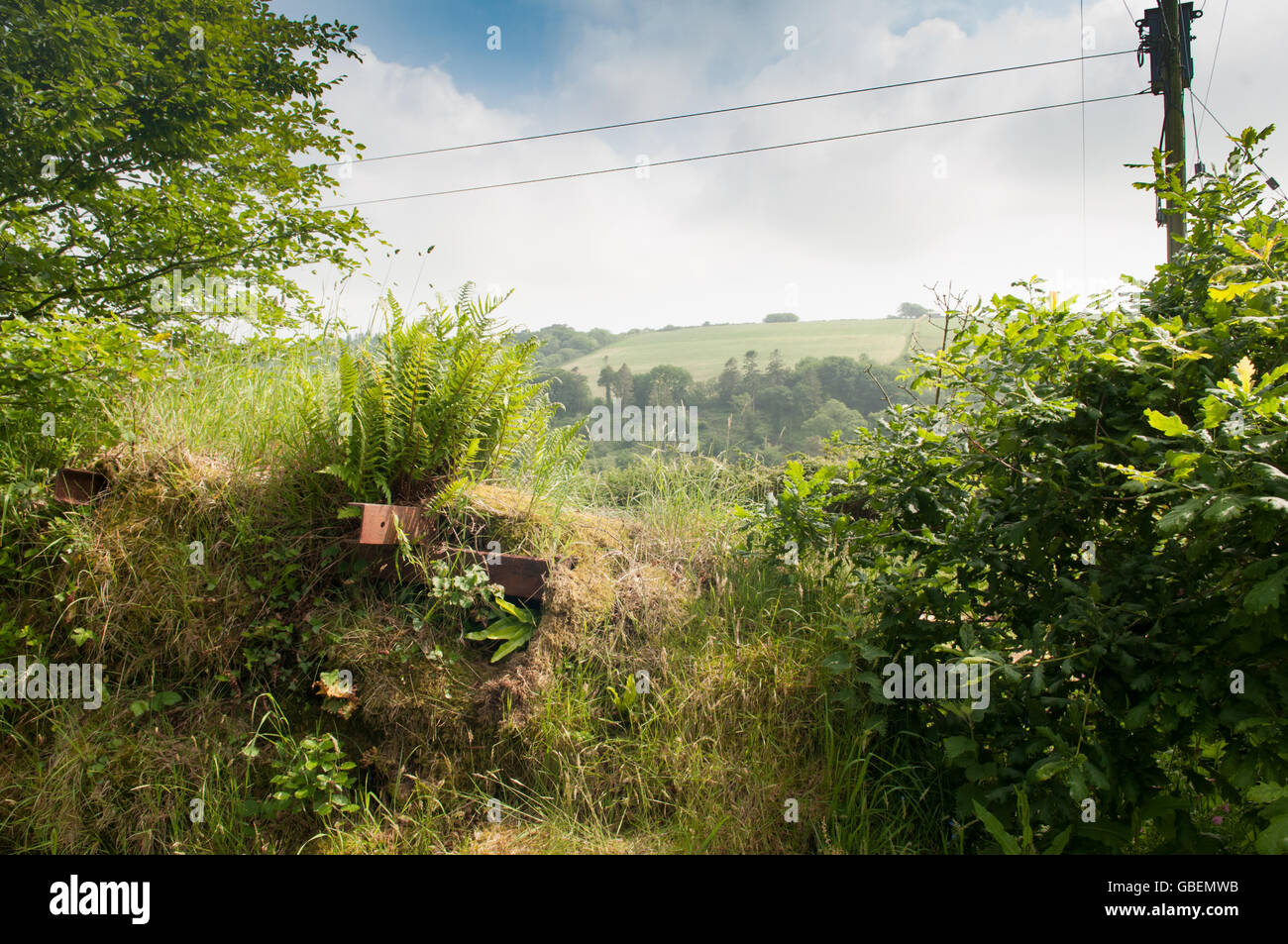 View through the hedge hi-res stock photography and images - Alamy