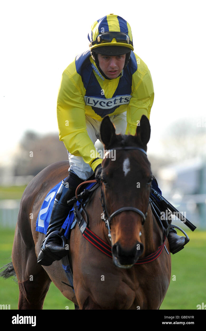 El Dancer ridden by Dominic Elsworth prior to the Facilitas Ensure ...