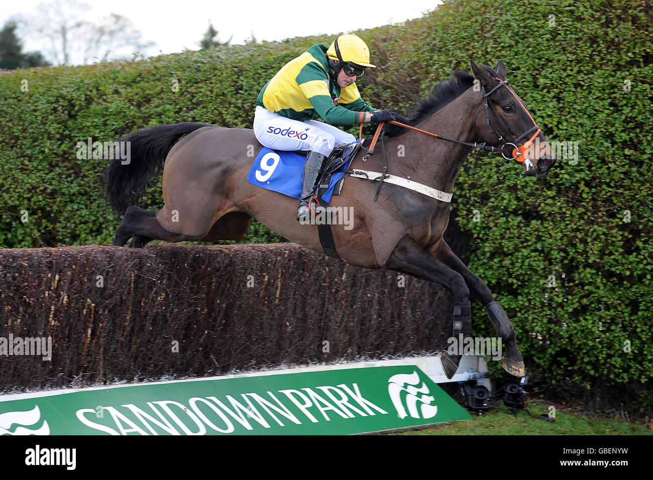 Horse Racing - Royal Artillery Gold Cup Day - Sandown Park Stock Photo ...