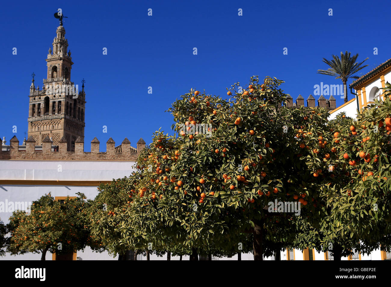 City Views - Seville Stock Photo - Alamy