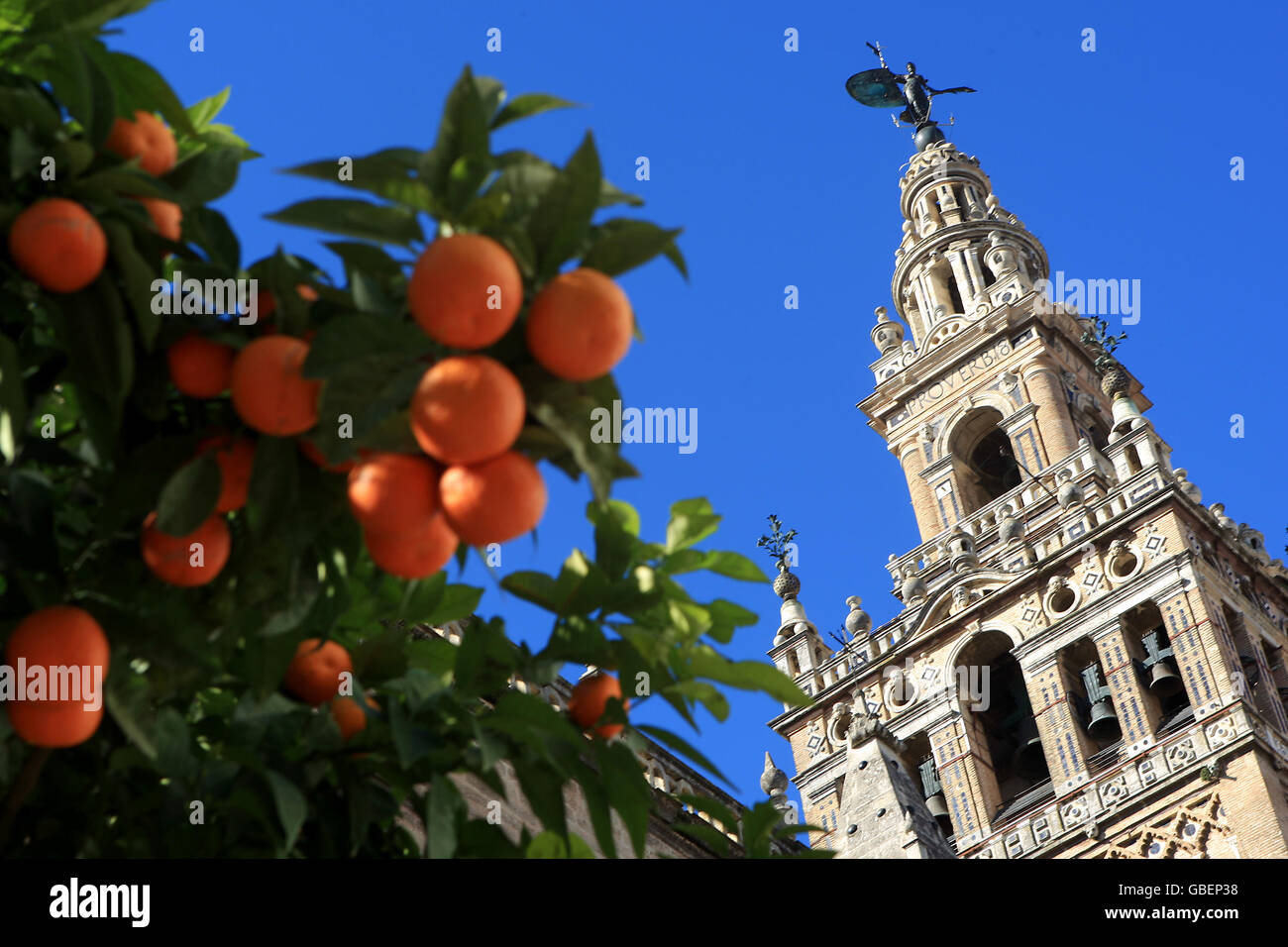 Seville cathedral tower views hi-res stock photography and images - Alamy