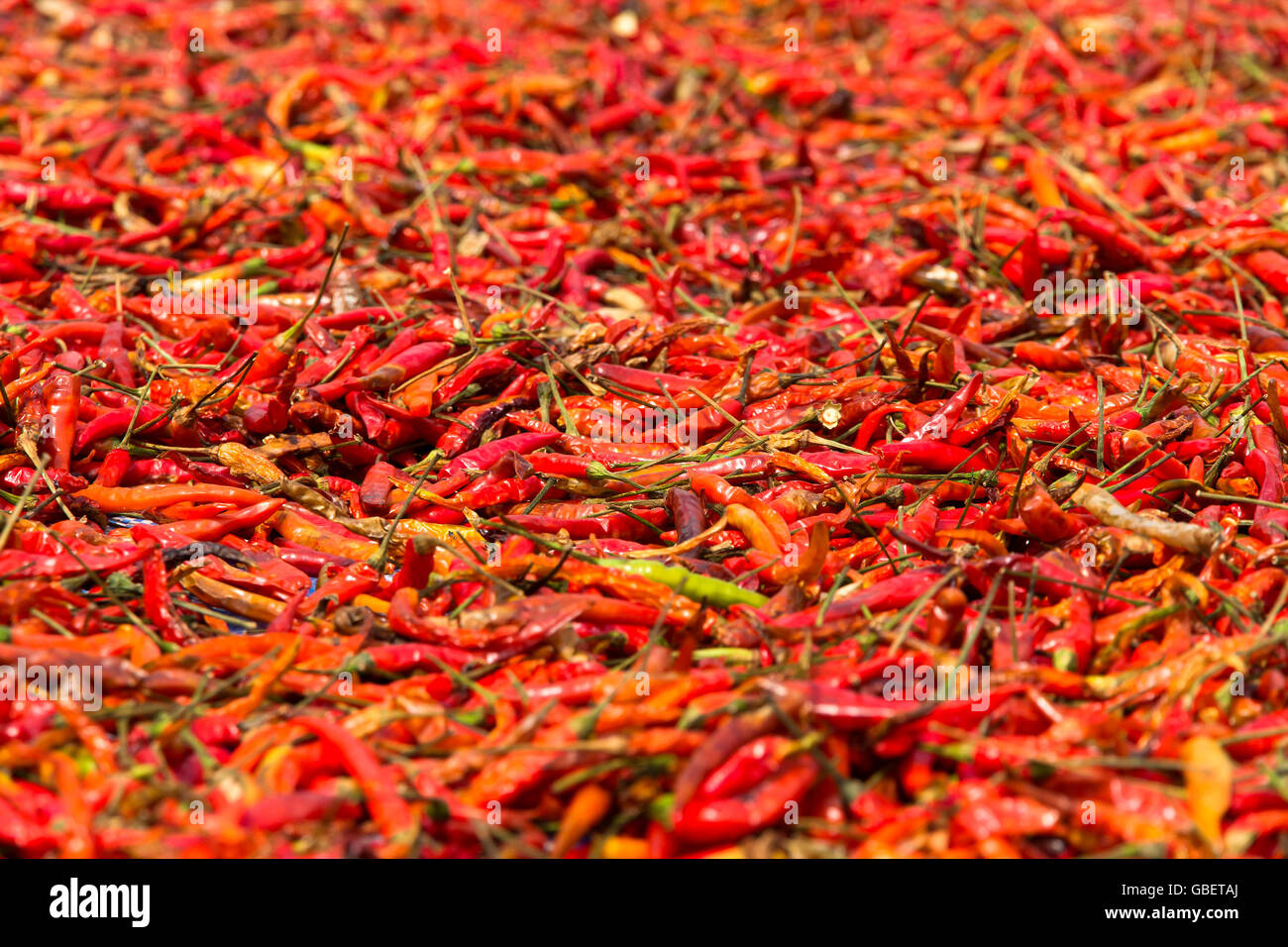 Dried Red Chilli Background Stock Photo - Alamy