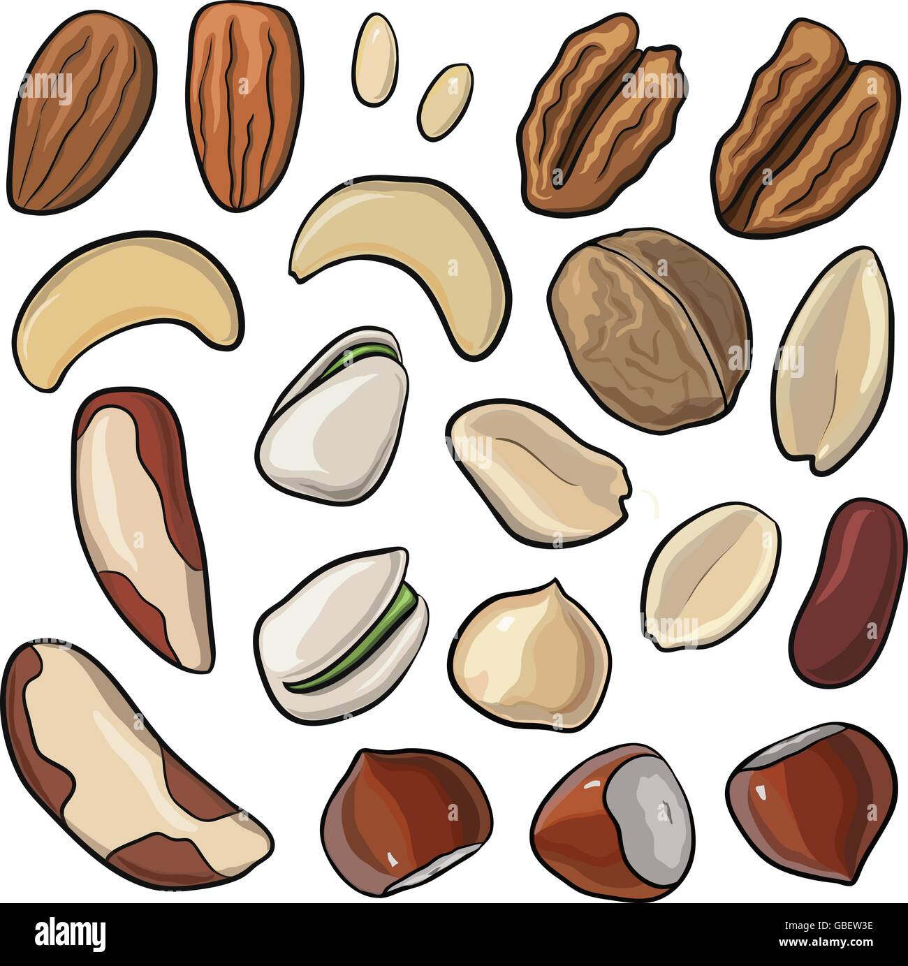 Set isolated plant peanut Stock Vector Images - Alamy
