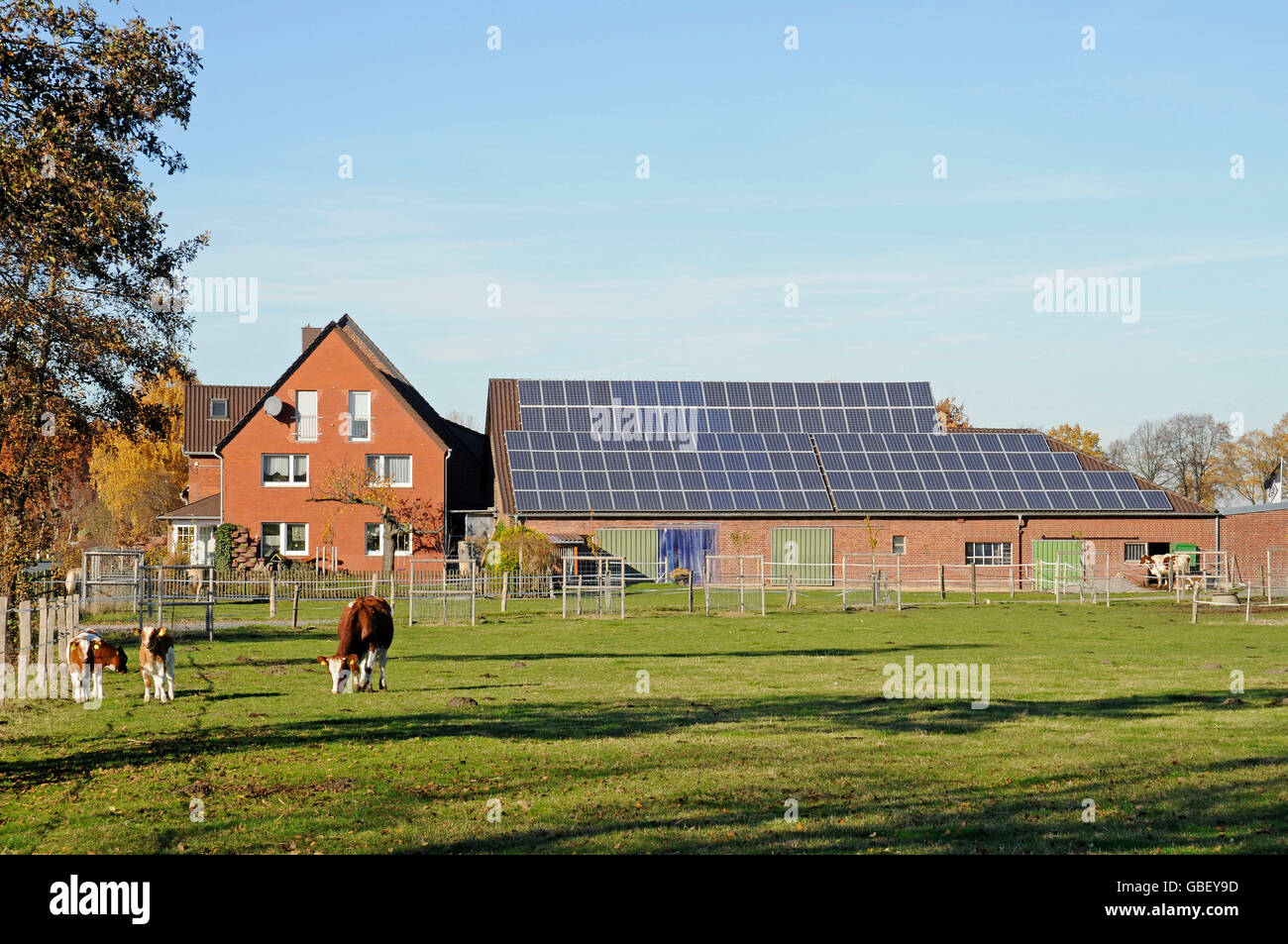 Photovoltaic power plant, farm, Werne, Munsterland region, North Rhine ...