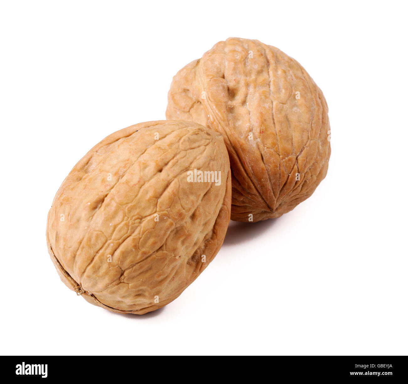 Walnut details Cut Out Stock Images & Pictures - Alamy