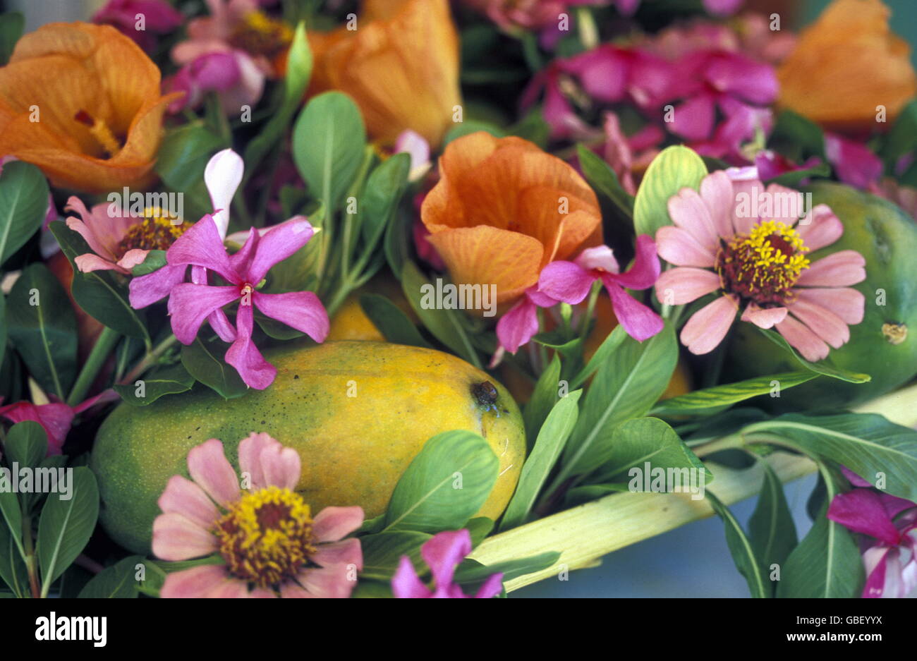 fruits in a resort on the island and atoll of the Maldives Islands in ...