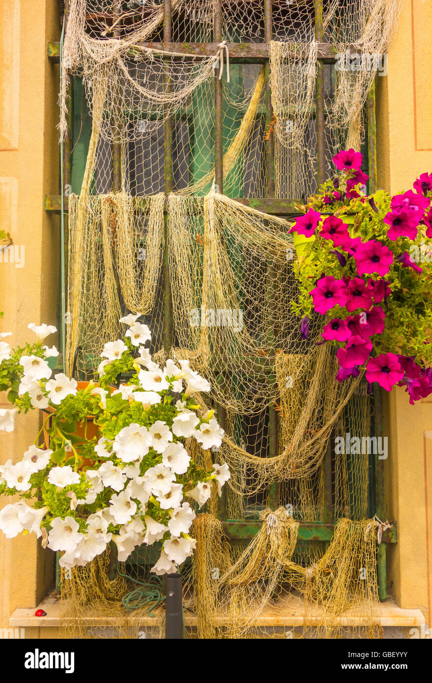 Window dressed with fishing net and flowers Camogli Italy Stock Photo ...