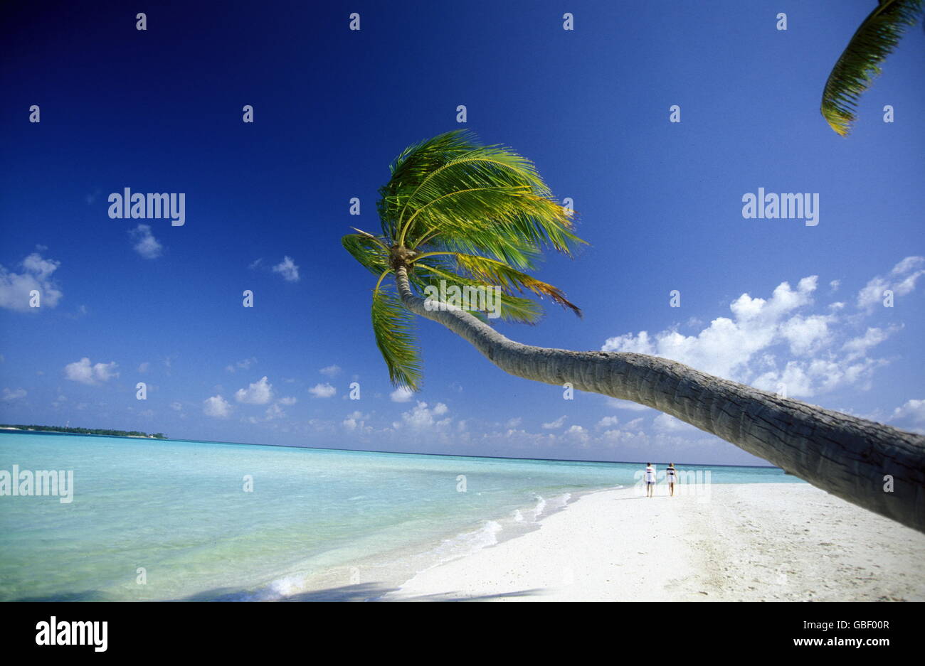 a beach with the seascape of the island and atoll of the Maldives ...