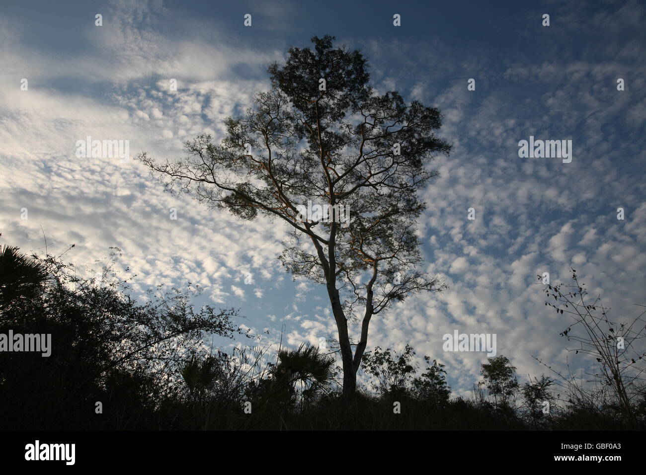 the landscape at the village of Viqueque in the south of East Timor in ...