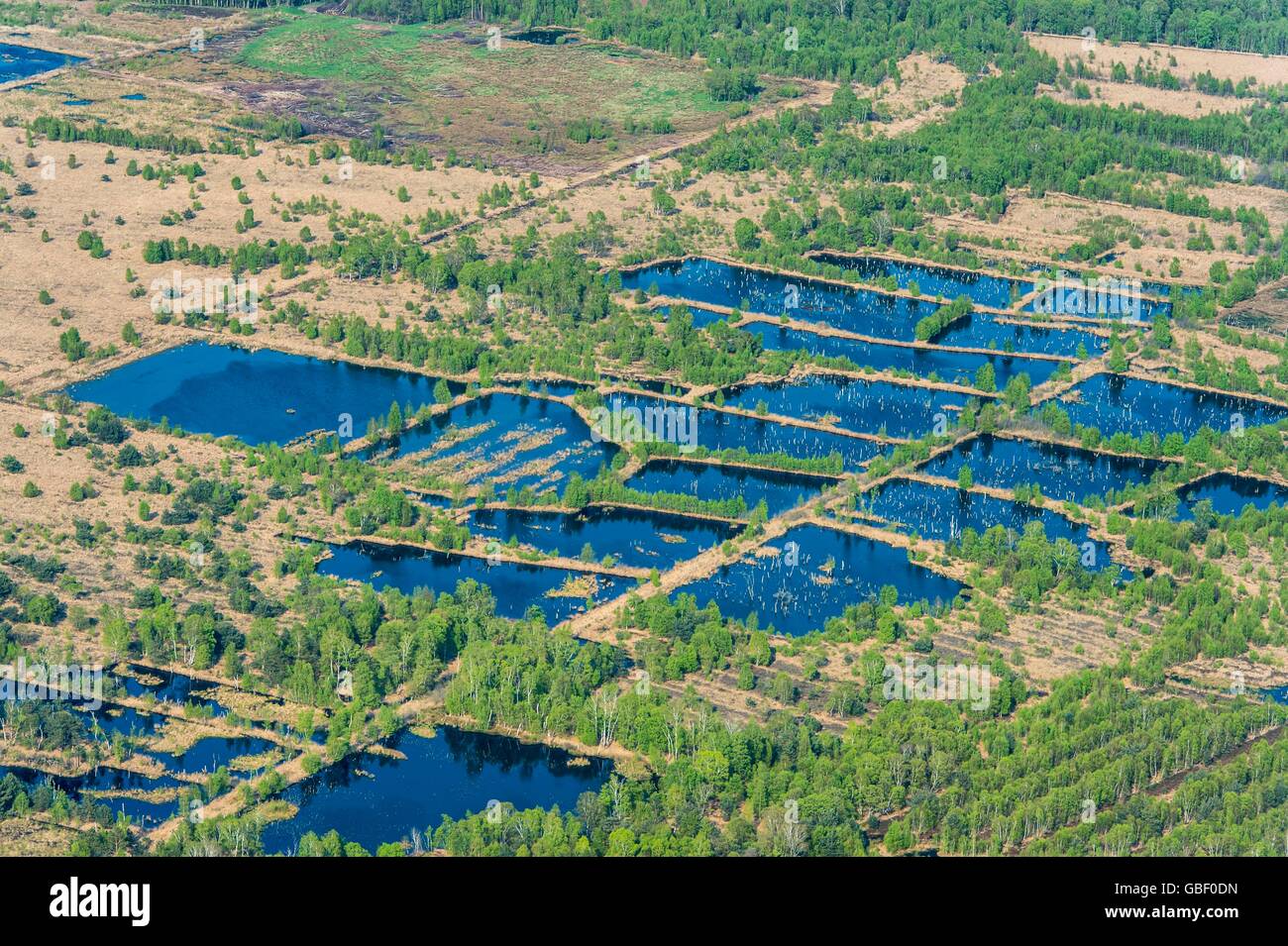 Steinfelder Moor, Steinfeld, Landkreis Vechta, Niedersachsen ...