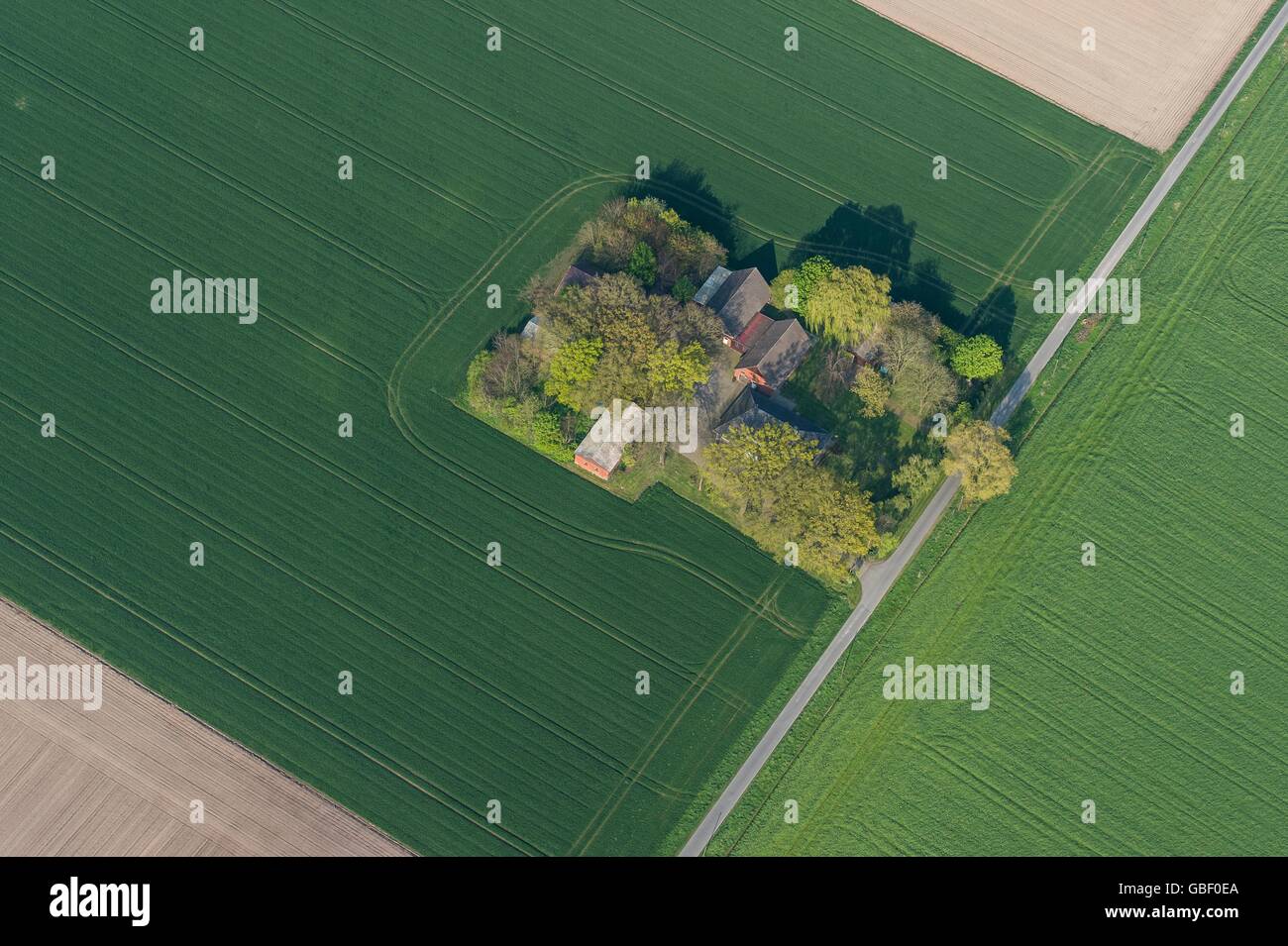 Bauernhof, Goldenstedt-Lutten, Landkreis Vechta, Niedersachsen ...