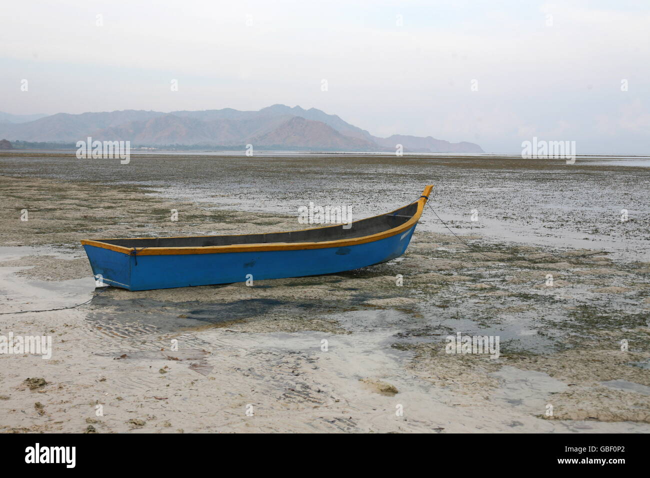 Metinaro hi-res stock photography and images - Alamy