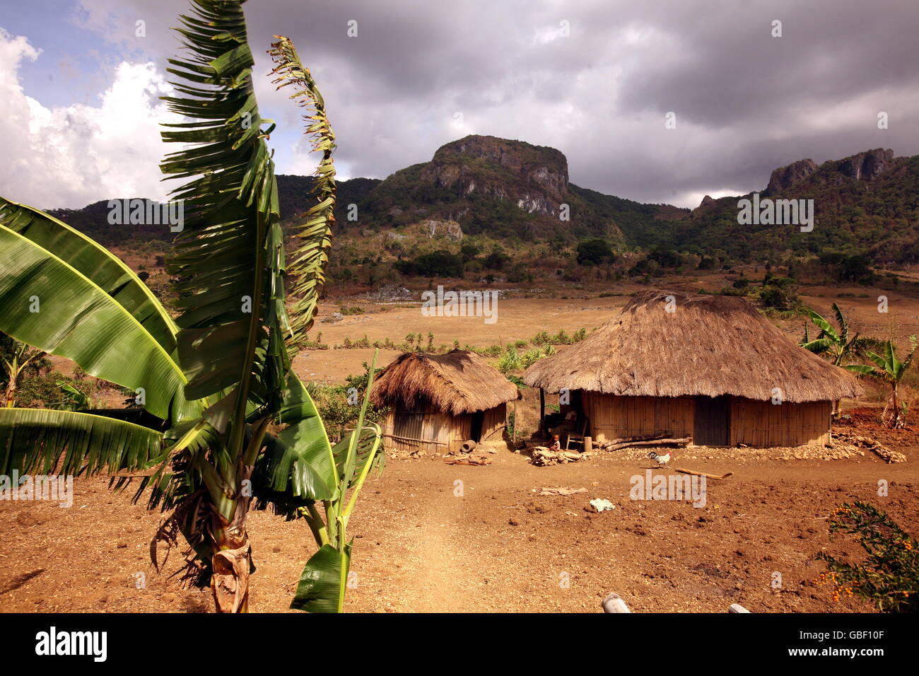 Viqueque hi-res stock photography and images - Alamy