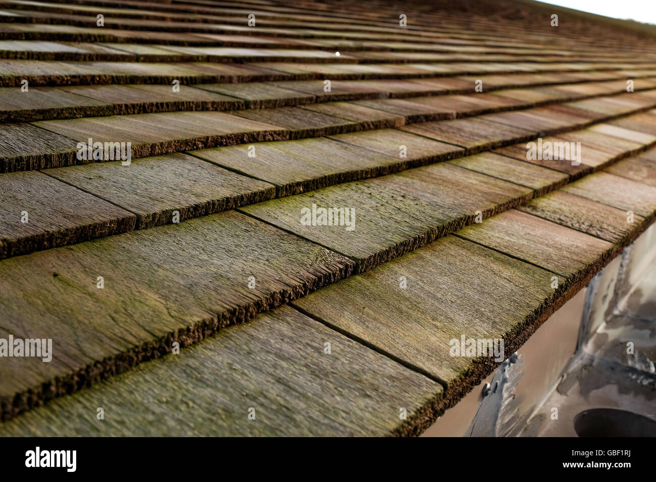 Red cedar Shingle roof tiles Stock Photo - Alamy
