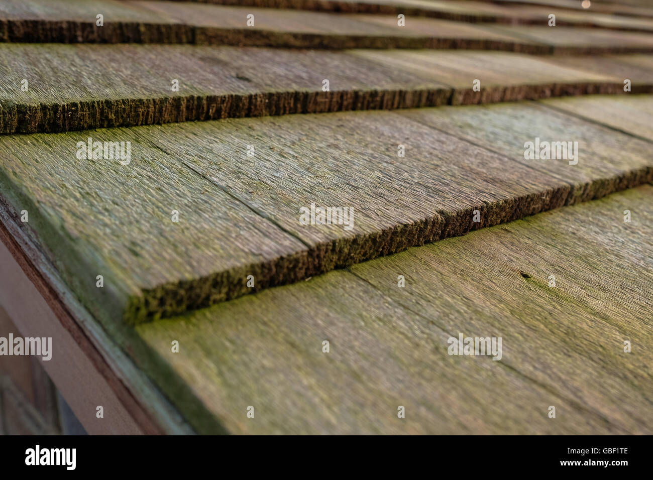 Red cedar Shingle roof tiles Stock Photo - Alamy