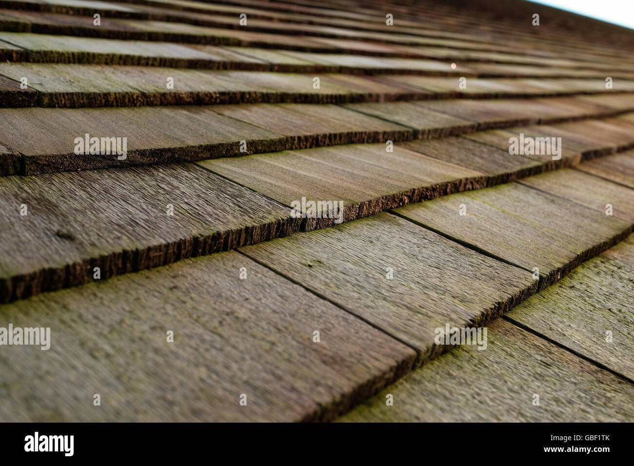 Red cedar Shingle roof tiles Stock Photo - Alamy