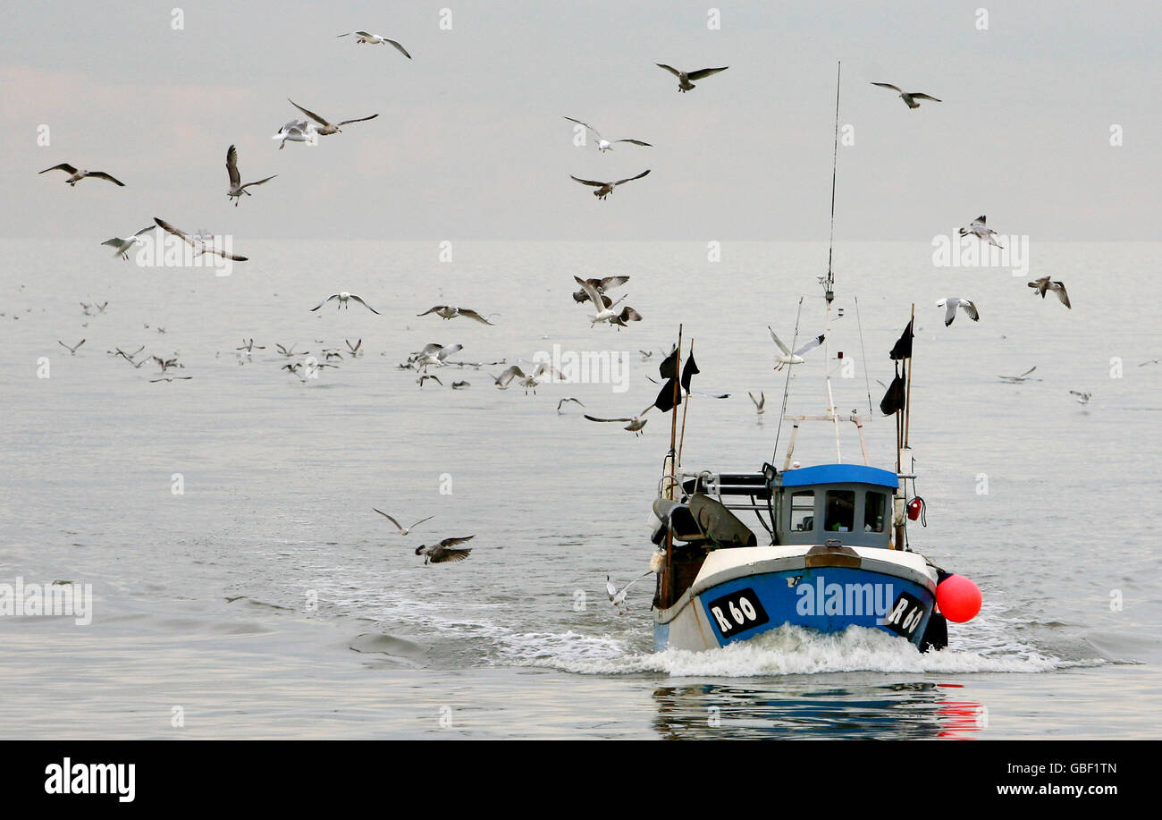 General view gv bird mangsm hi-res stock photography and images - Alamy