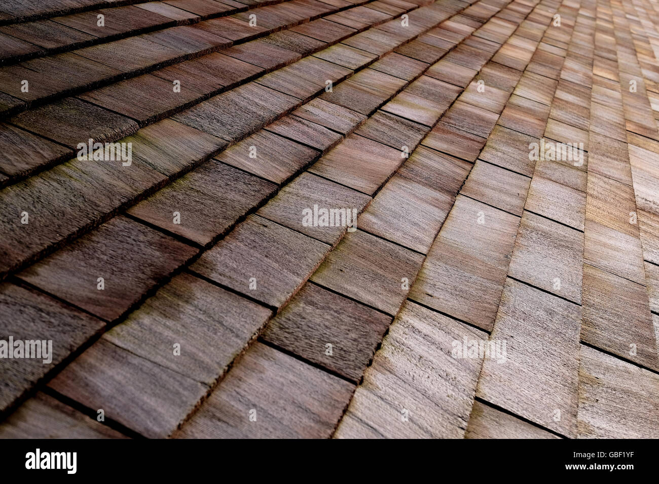 Red cedar Shingle roof tiles Stock Photo - Alamy