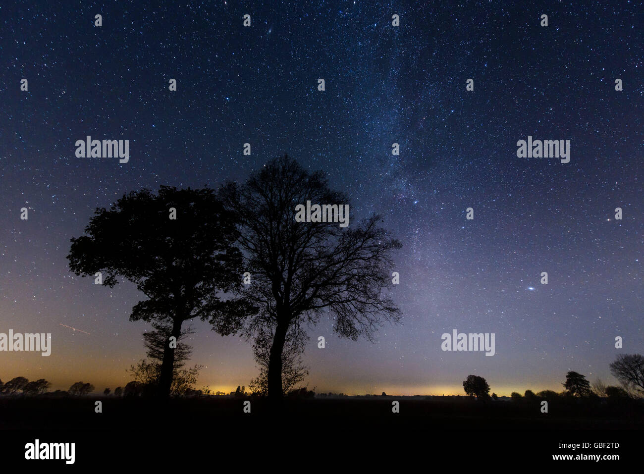 Trees in front of starry sky, milky way, Lower Saxony, Germany Stock ...