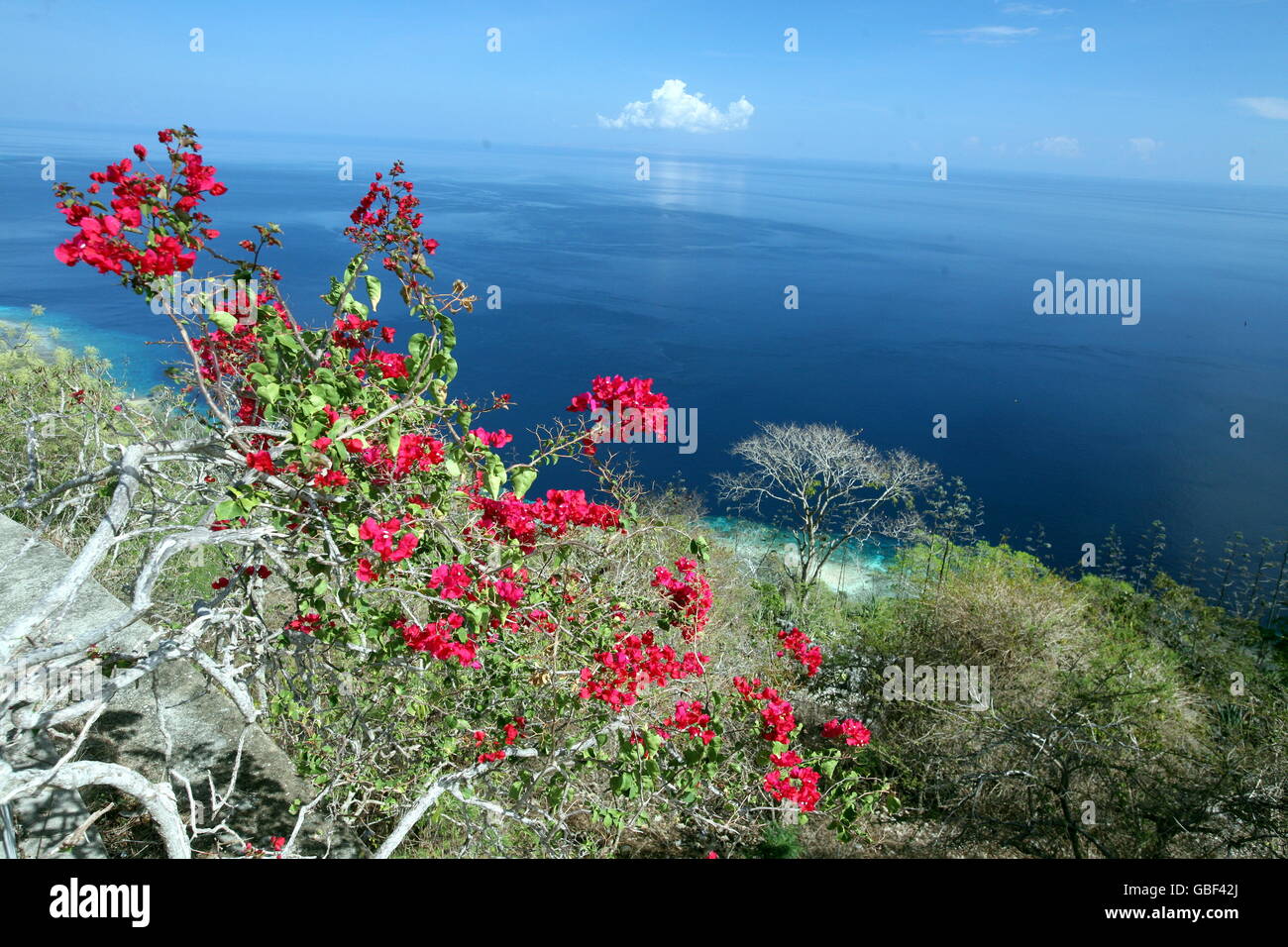 the dreambeach at the Jaco Island at the town of Tutuala in the east of ...