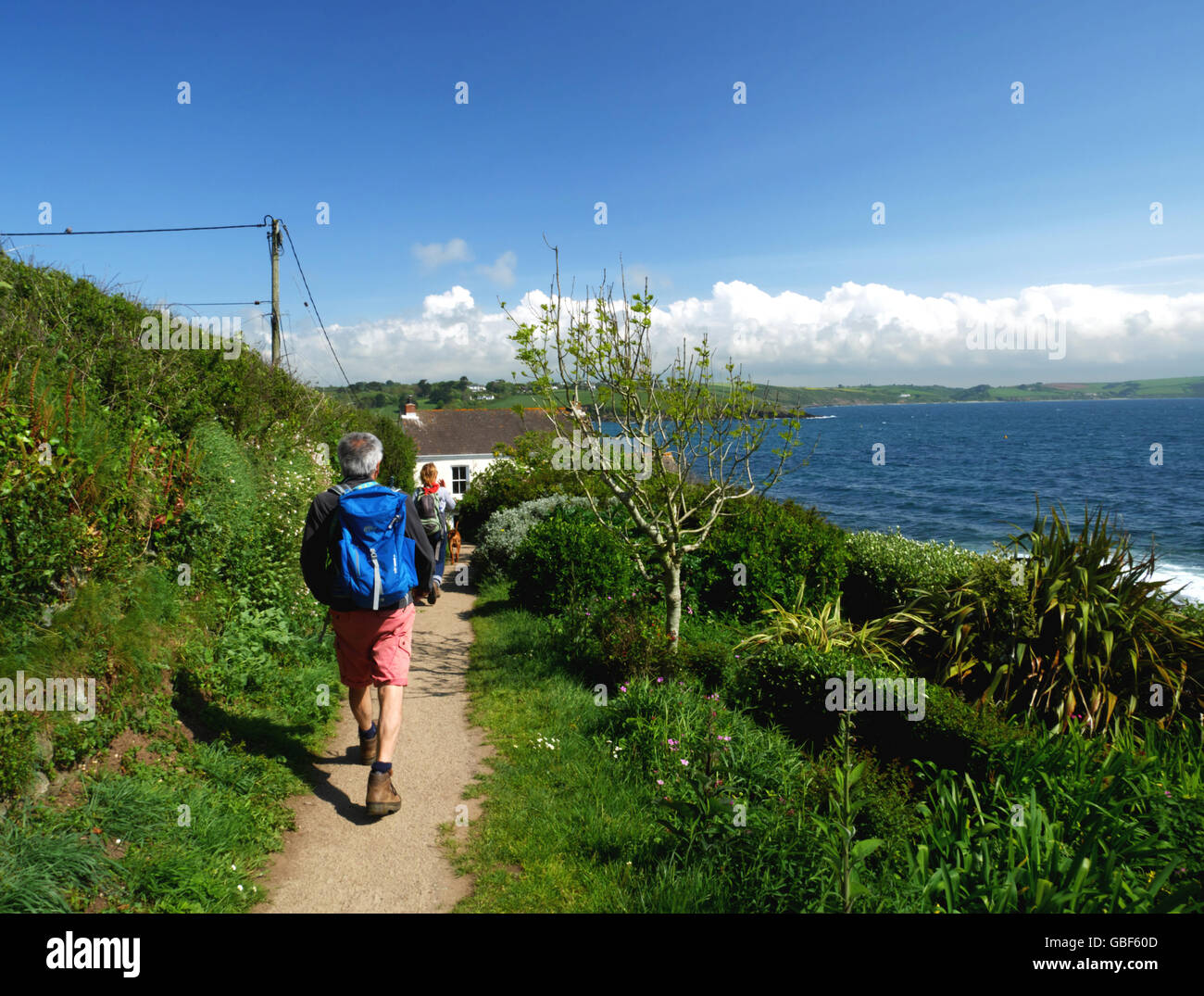 Two walkers walking the cliff path at Portscatho, Cornwall Stock Photo ...