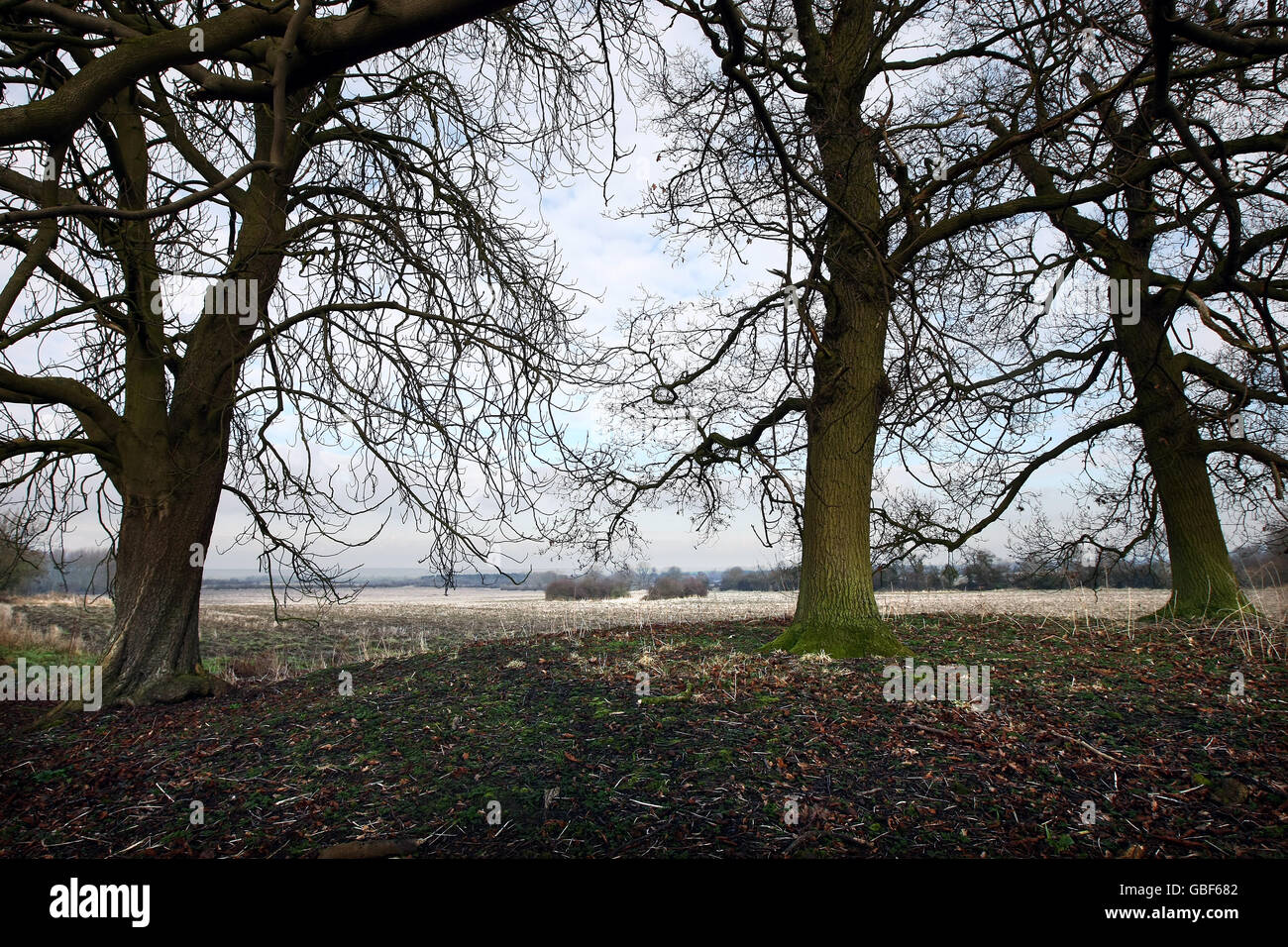 English civil war charles 1 hi-res stock photography and images - Alamy