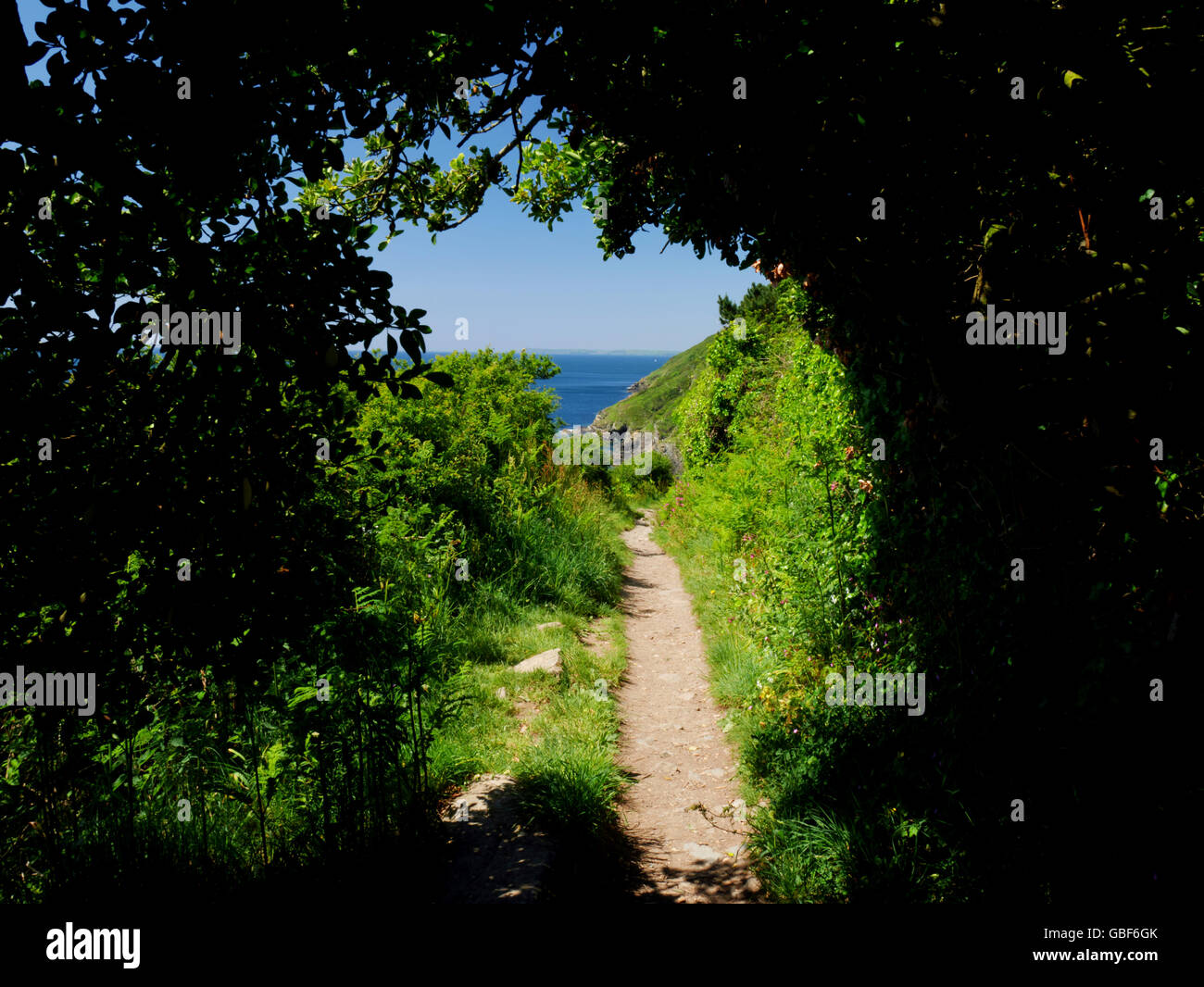 A glimpse of the sea on the cliff path near Polperro, Cornwall Stock ...